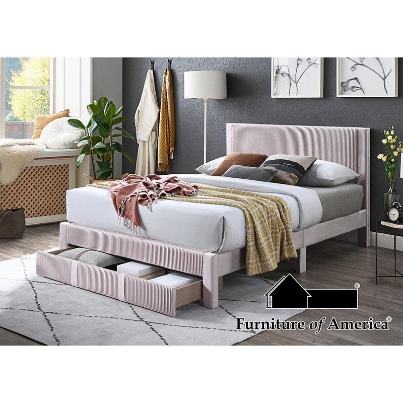 TM7104PK-F Pink Bed – Redwood Home Furniture
